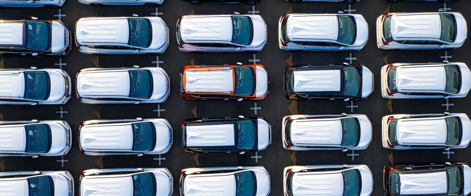 Payment and Paperwork Processes for Government and Seized Car Auctions