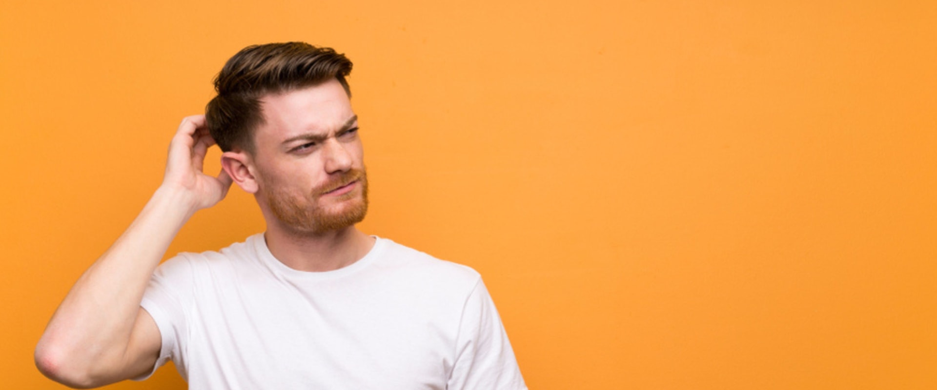 All You Need to Know About Common Auction Terms